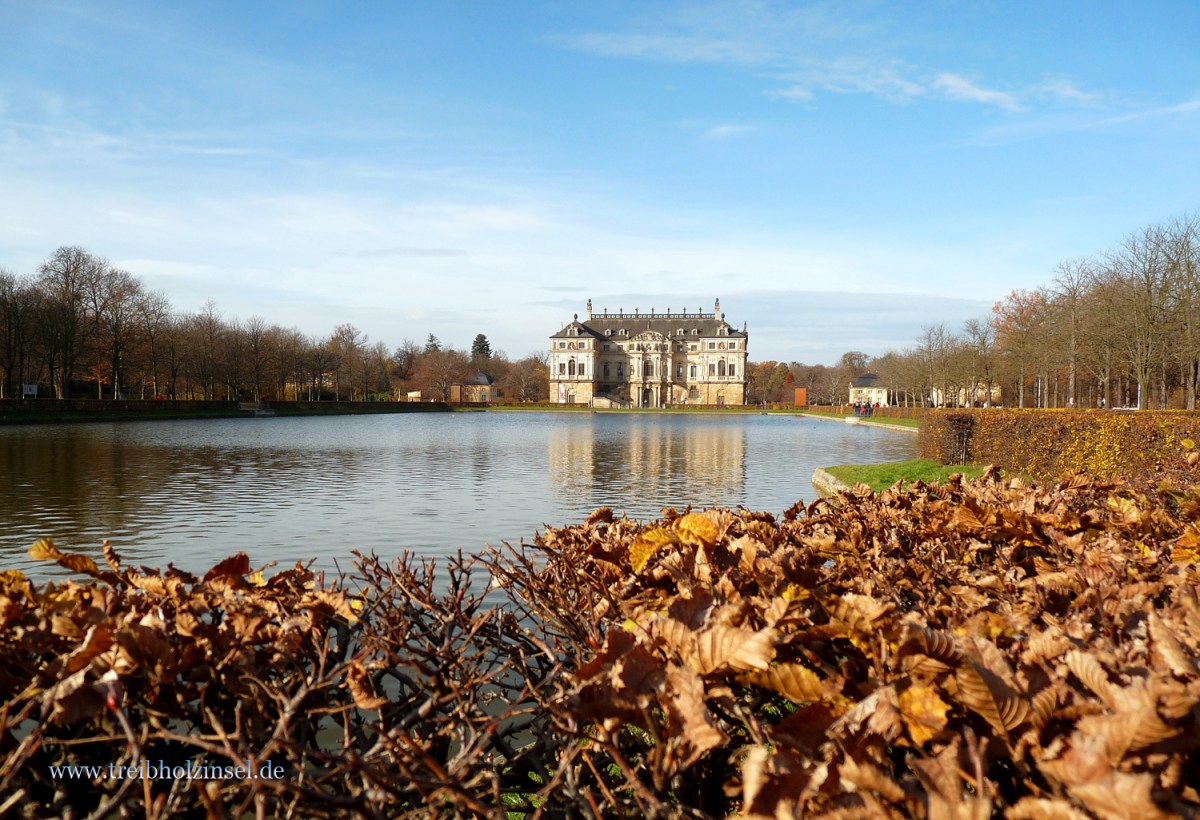 The Grand Garden in Dresden – TREIBHOLZINSEL